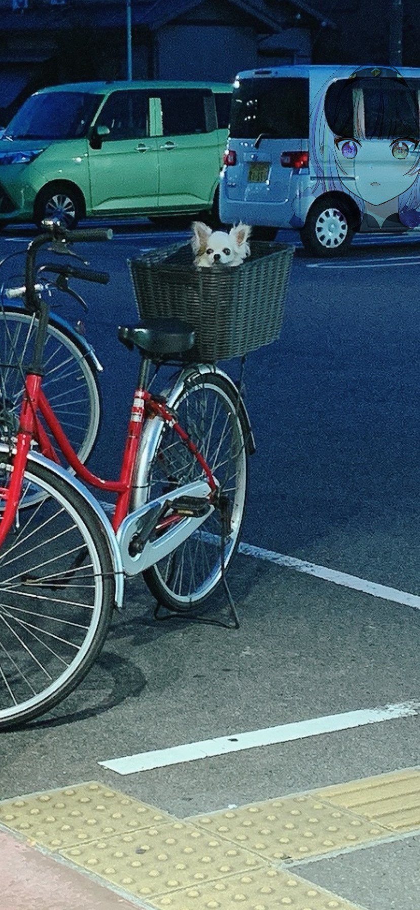 ろん / MKLNtic (@LOOON4) / Twitter