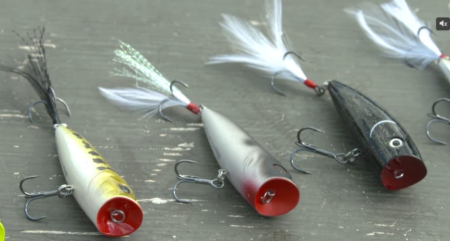 Jack Tarpon Fishing Art on Twitter: Jack Tarpon Fishing Art on Twitter: