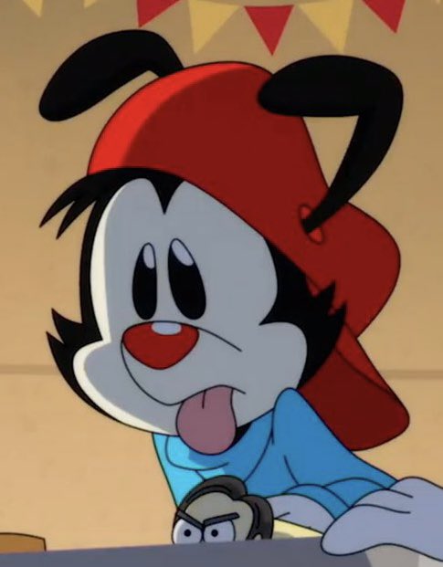 Wakko Warner Mad