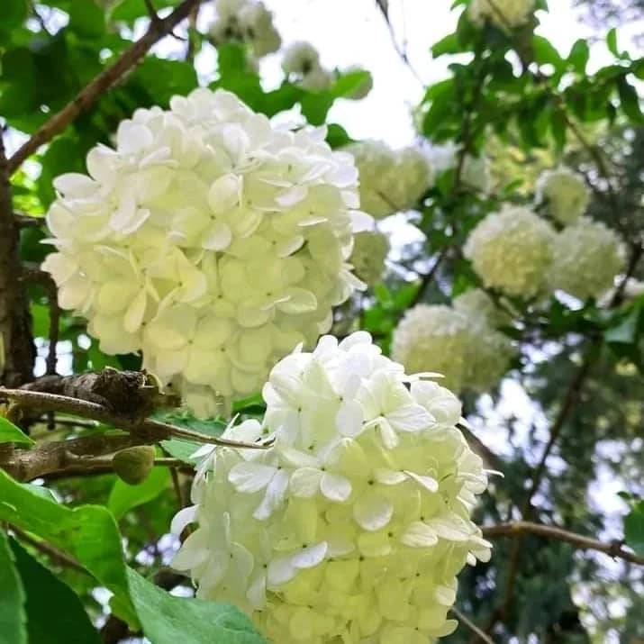 Tasuke_Akira on Twitter: "https://t.co/p95M37r6Tp" / Twitter