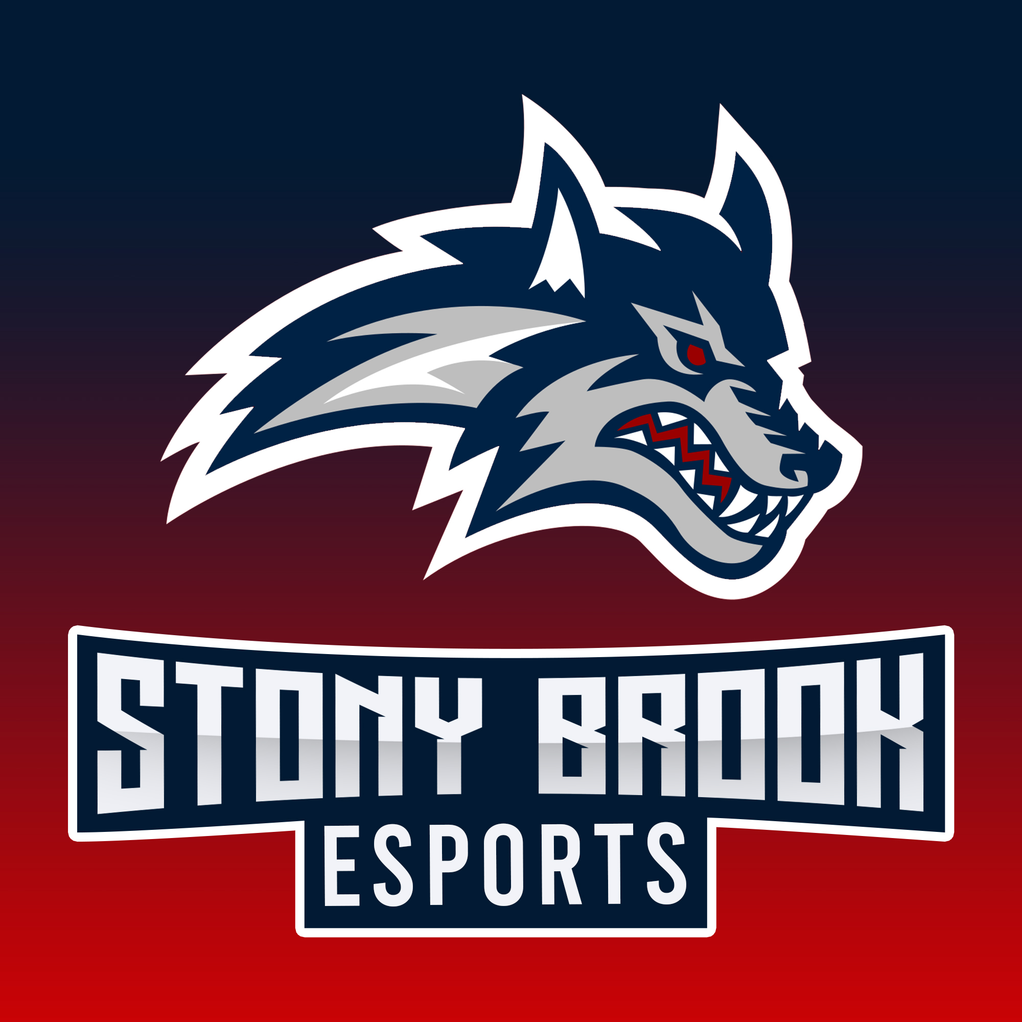 Stony Brook University Logo SBU 3MT 2024: Alexander Kwakye