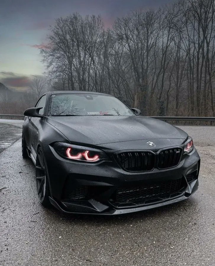 Adybe 🇩🇿 on Twitter: "RT @Auto_Porn: blacked tf out"