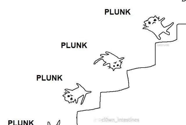 reactions on Twitter: "cat tumbling down stairs plunk plunk plunk plunk"