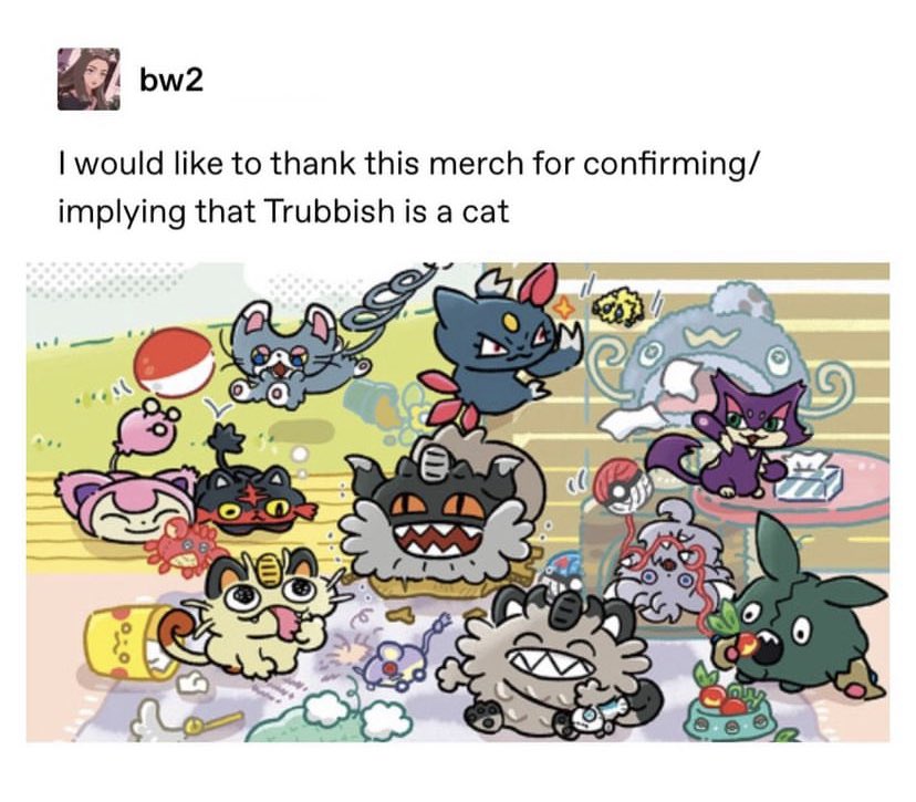 Cat In Pokemon X Pokemon