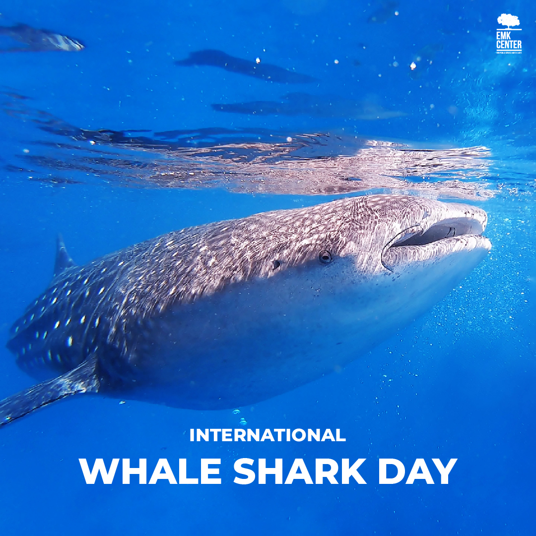 U.S. Embassy Dhaka on Twitter: "RT @EMKCenter: On August 30, 2012 ...