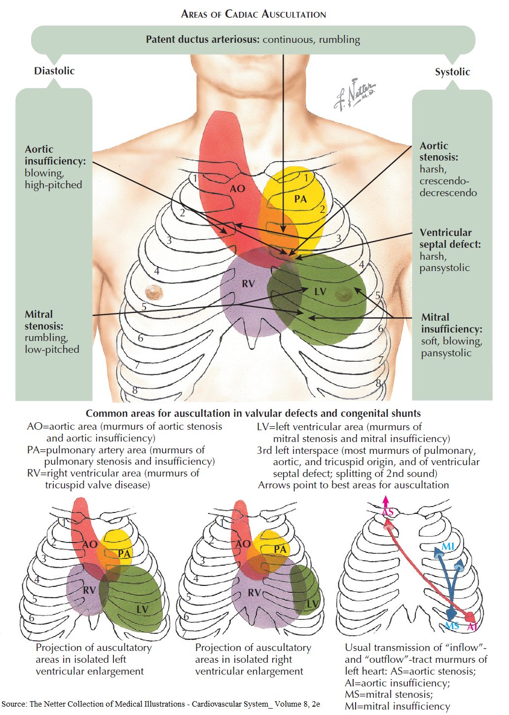 PPT Dynamic Auscultation PowerPoint Presentation, Free, 46% OFF