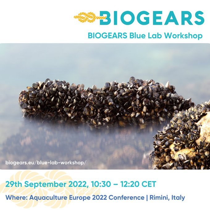 CINEA🇪🇺 on Twitter: "#EU #EMFF @BIOGEARS_EU recently reached a big ...