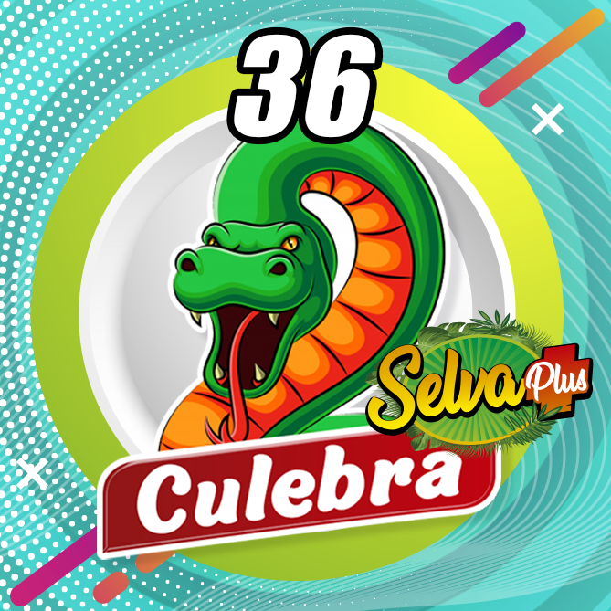 D̳A̳T̳O̳S̳ ̳D̳E̳L̳ ̳É̳X̳I̳T̳O̳ on Twitter: "RT @SelvaPlus: RESULTADO DE SORTEO SELVA PLUS 06/09 ...