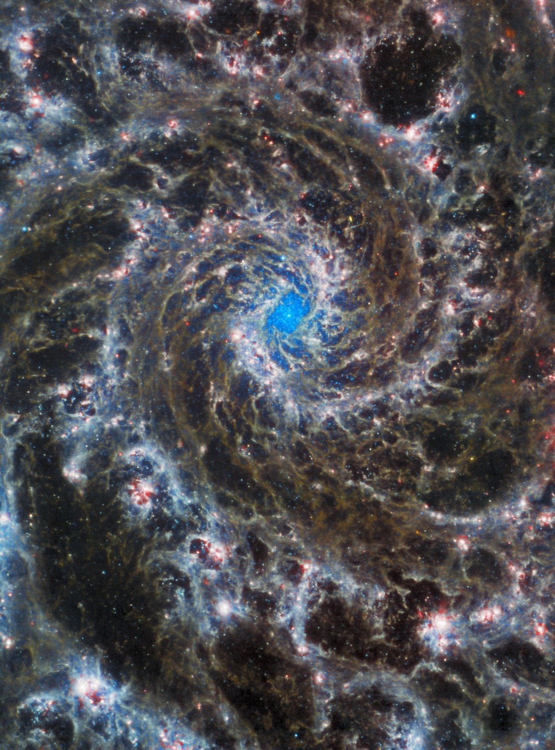 Somos Cosmos on Twitter: "¡UNA VISTA ESPECTACULAR! 🤩 El Telescopio Espacial James Webb (JWST) ha ...