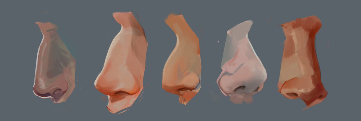 Flamansz 🌻 commissions open on Twitter: "Nose studies"