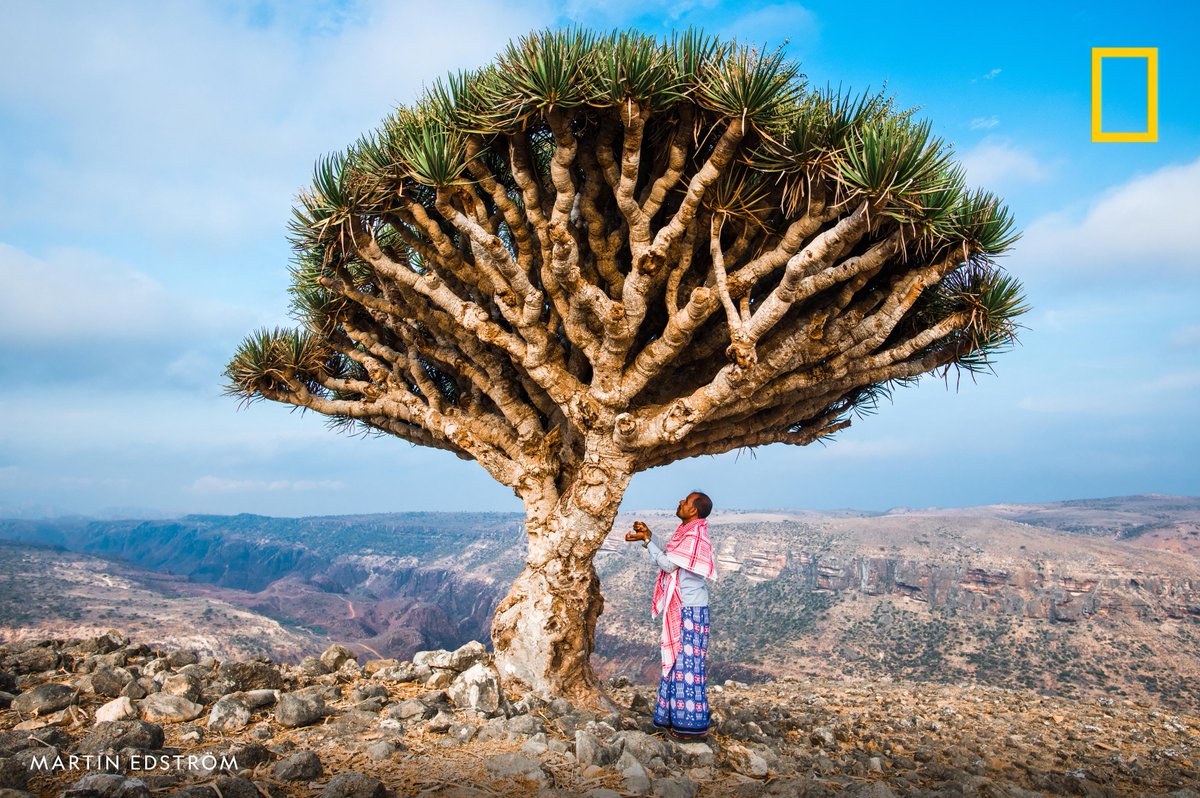 Undaunted by Yemen’s civil war, @InsideNatGeo Explorer Ella Al-Shamahi ...