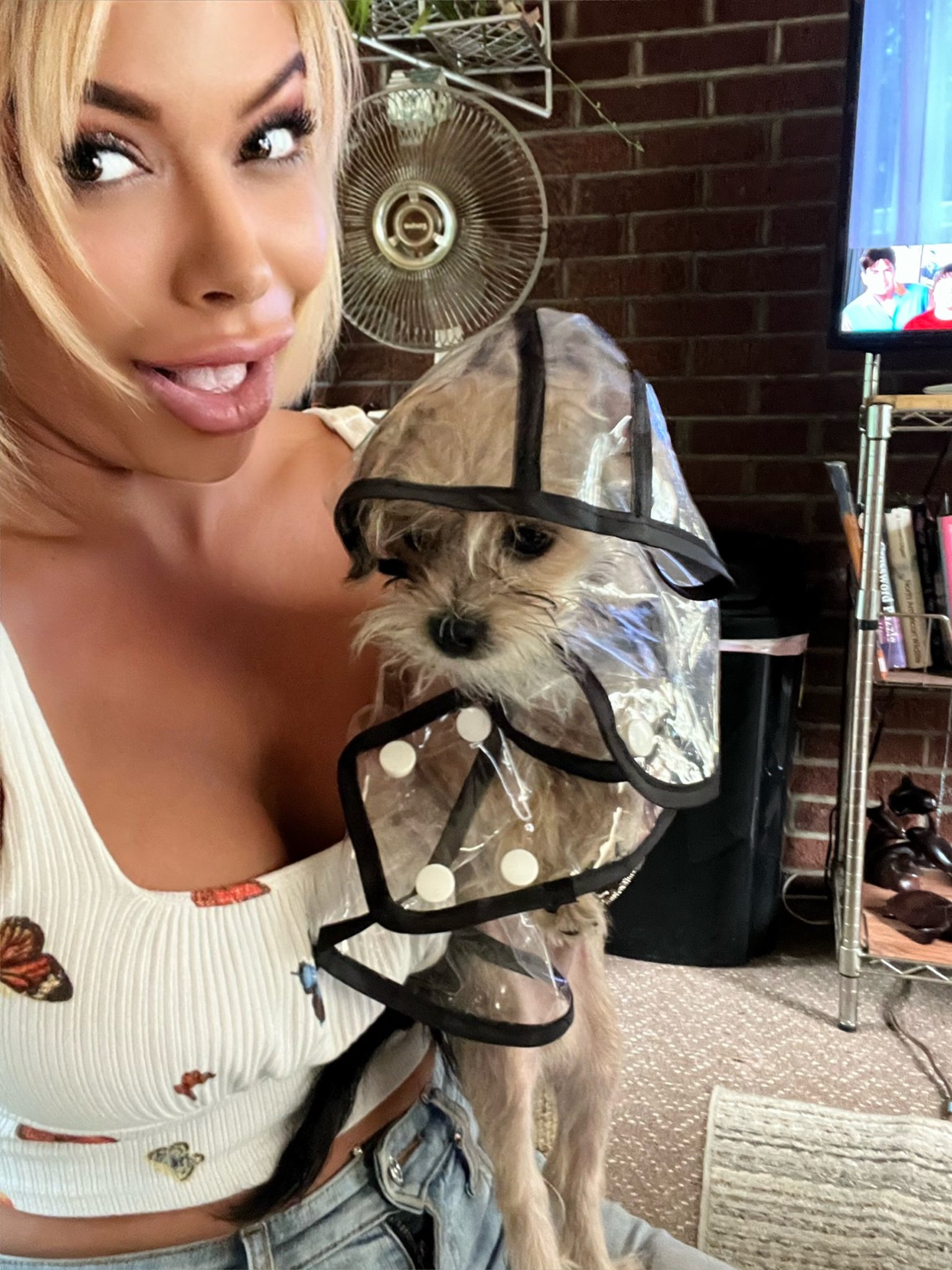 Sara St. Clair-Tay⭐️ on Twitter: "@RequiemLenina https://t.co/V68bIQ7MEs" / Twitter