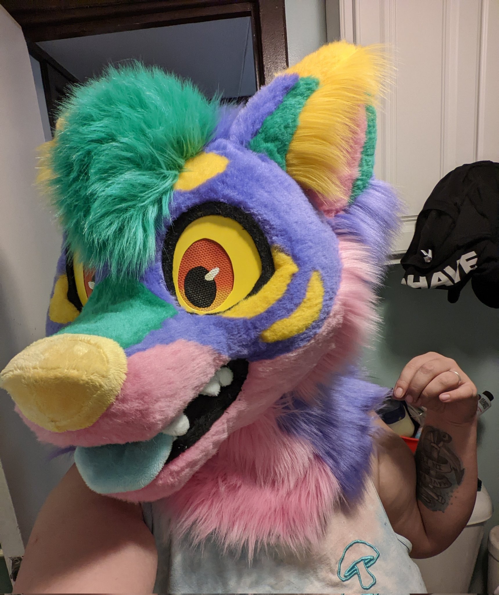 Trader_Kai (@Trader_Kai_Tiki) / Twitter