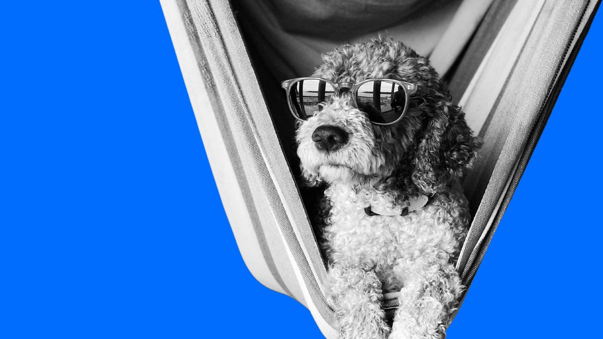 I've got a secret to tell you 🤫 You’re already enlightened... All you ...