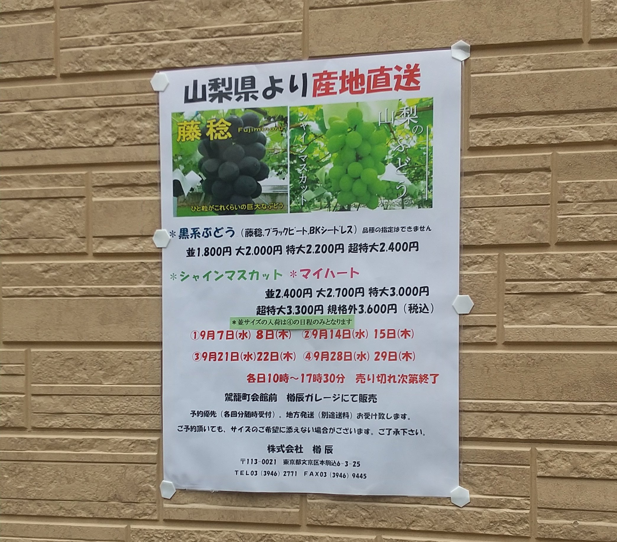 大塚日向子@文京区 (@Bnk_WM) / Twitter