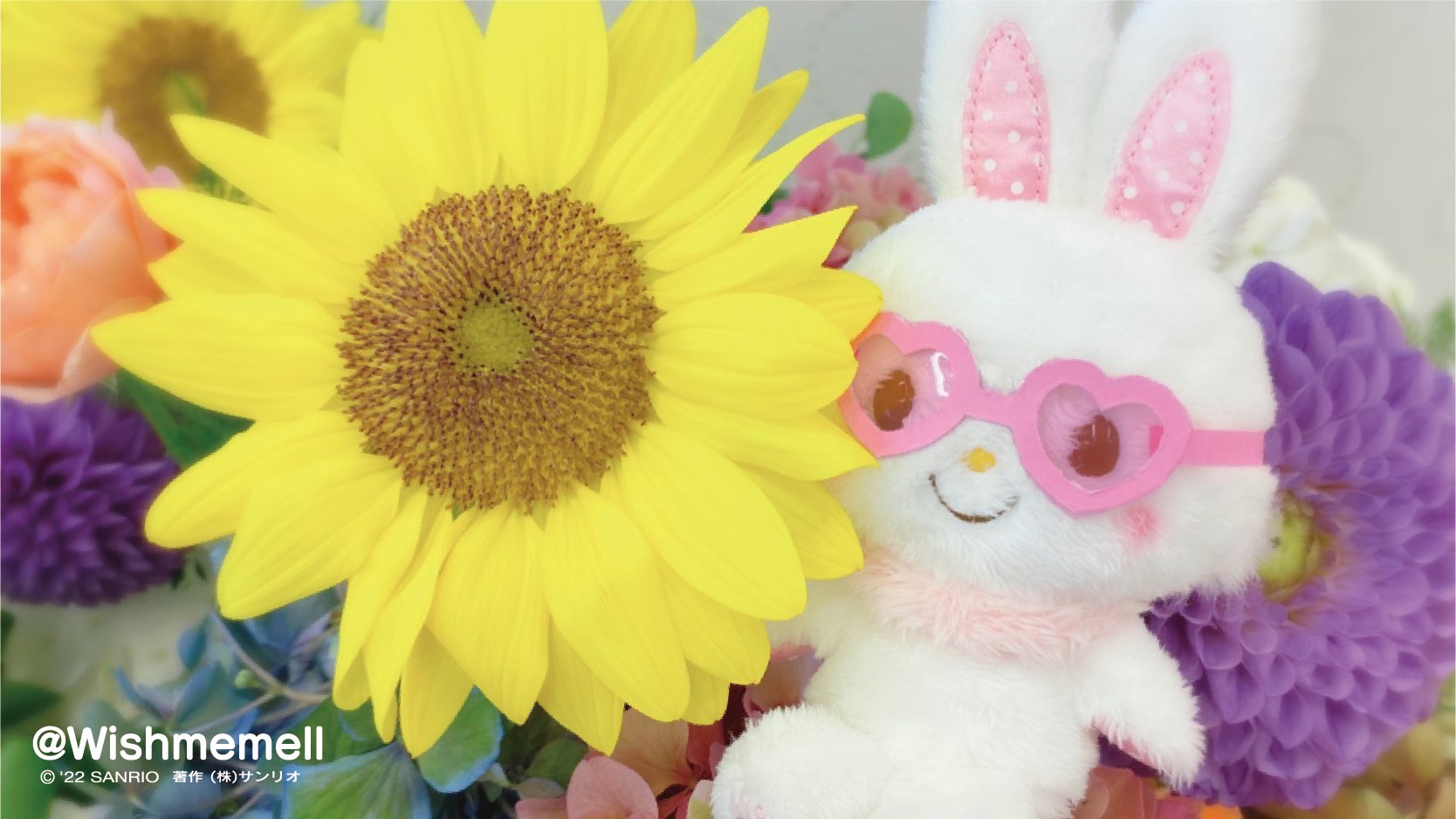 メル Wish me mell on Twitter: "おはメル☆ヒマワリが元気に咲いていたよ！ 今日もステキな1日になりますように♪ https://t.co/z4tBCUs7sr ...