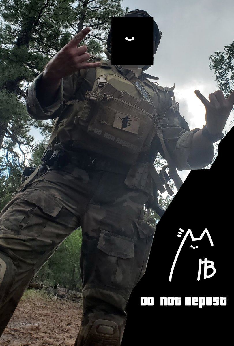 けろ on Twitter: ""US SOF Guy With Kitten" 🔥🤫🐈🔥 Thanks for the great pics!! パッチを愛用頂いてる隊員さんから カッコイイ ...