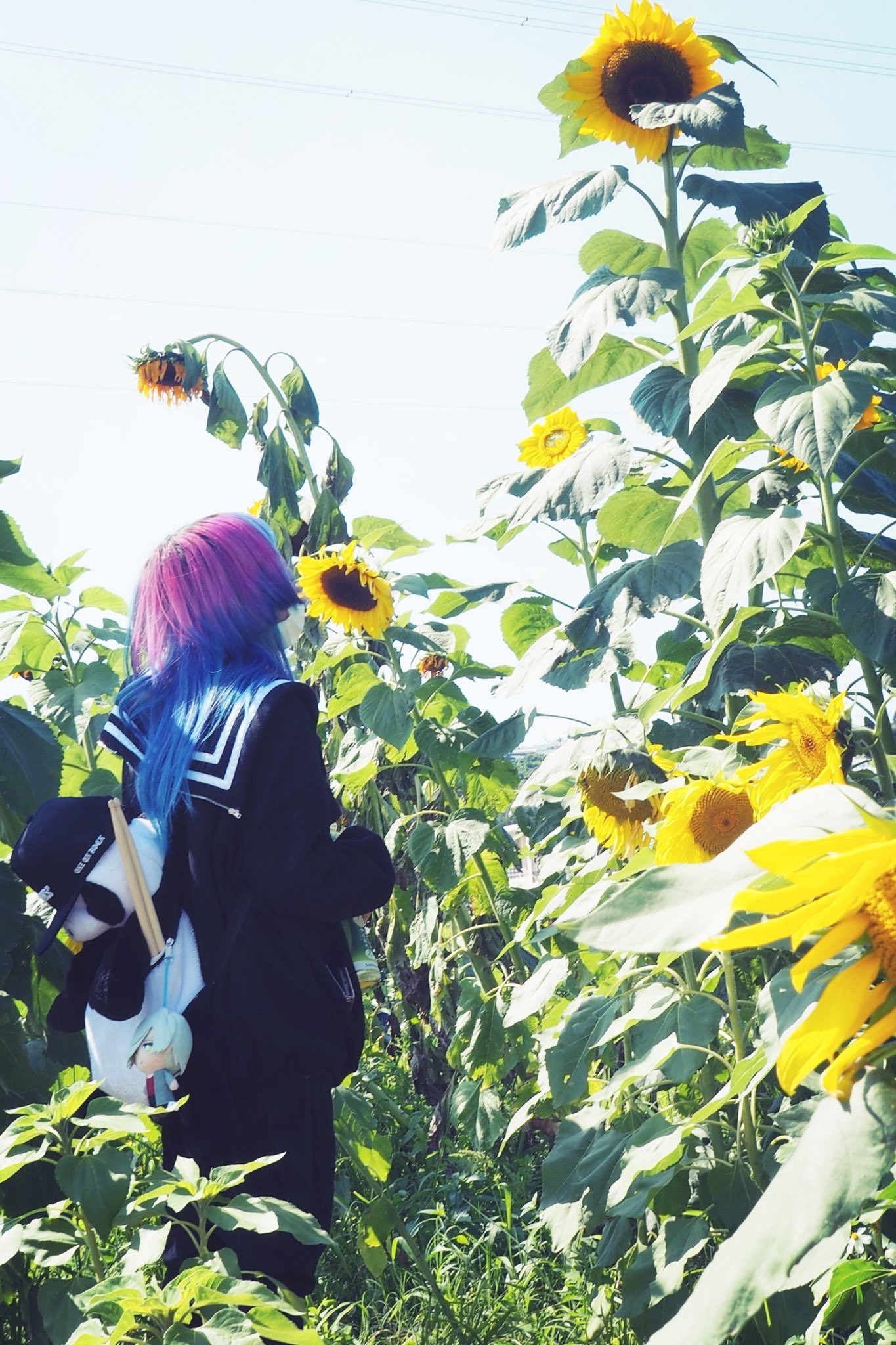 アノ (@ano_kt) / Twitter