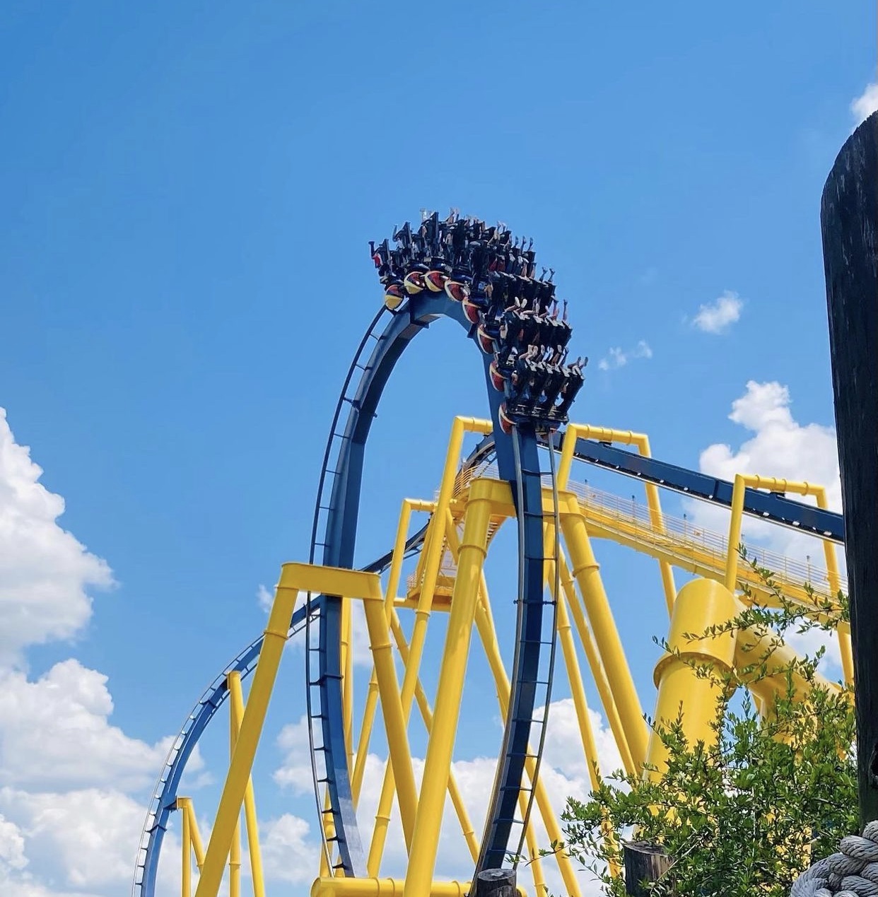 Busch Gardens Tampa Bay on Twitter: Busch Gardens Tampa Bay on Twitter: