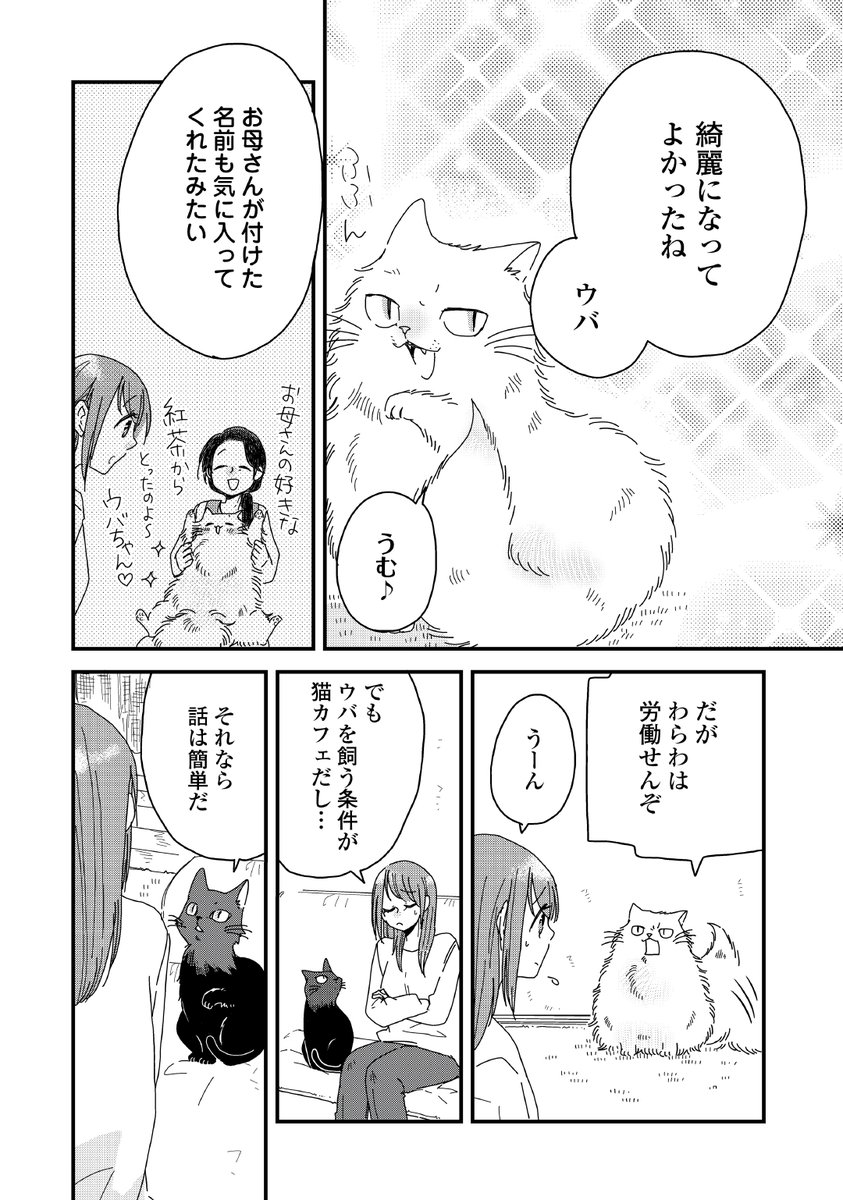ボロボロの猫を拾ったと思ったら神様だった話。