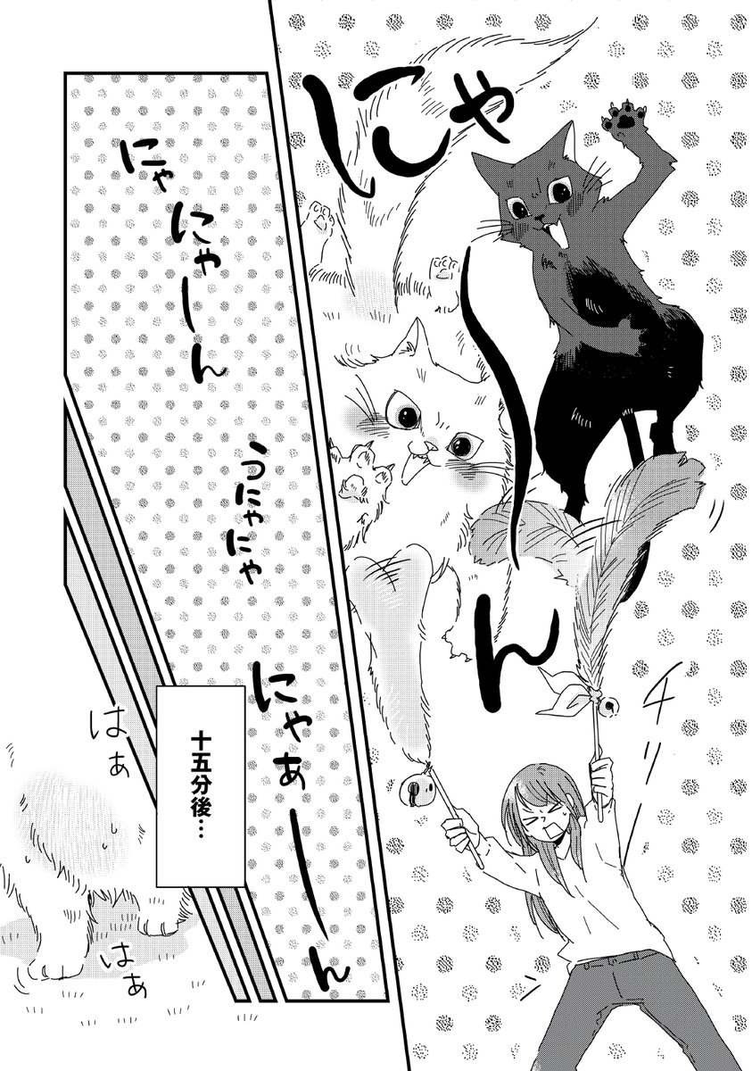 ボロボロの猫を拾ったと思ったら神様だった話。