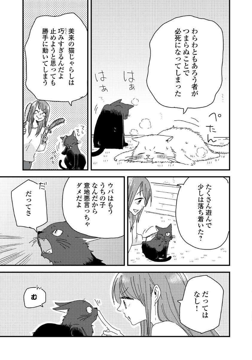 ボロボロの猫を拾ったと思ったら神様だった話。