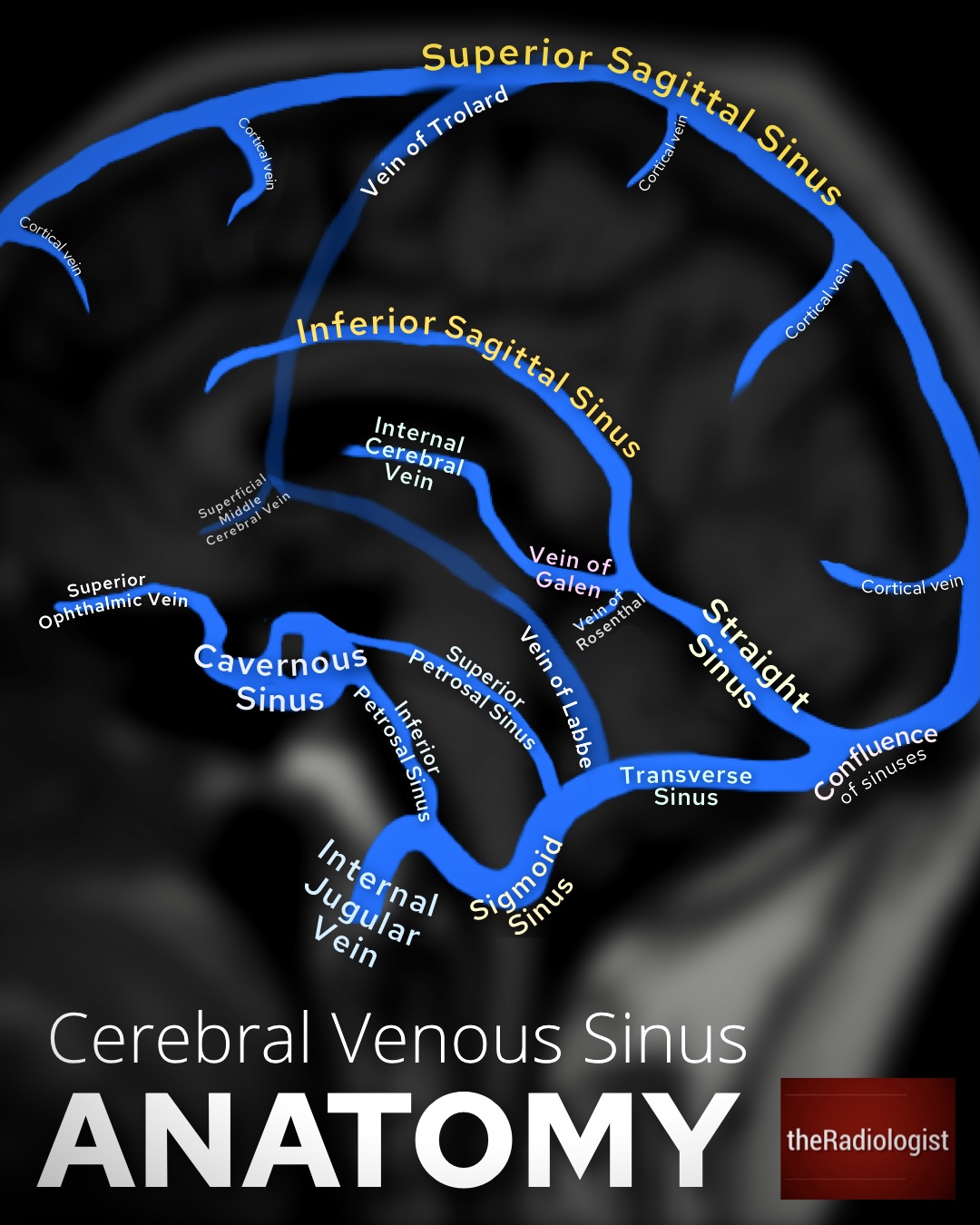 Cerebral Venous Sinuses Anatomy