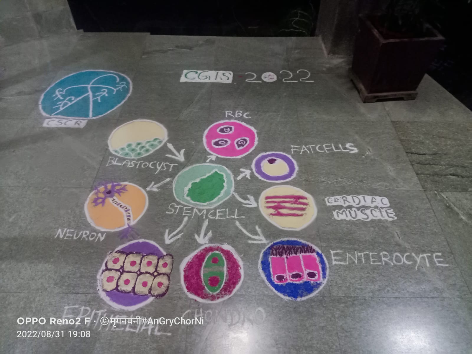 Centre for Stem Cell Research - CMC Vellore/inStem on Twitter: "@CSCR_CMC_inStem is organizing ...