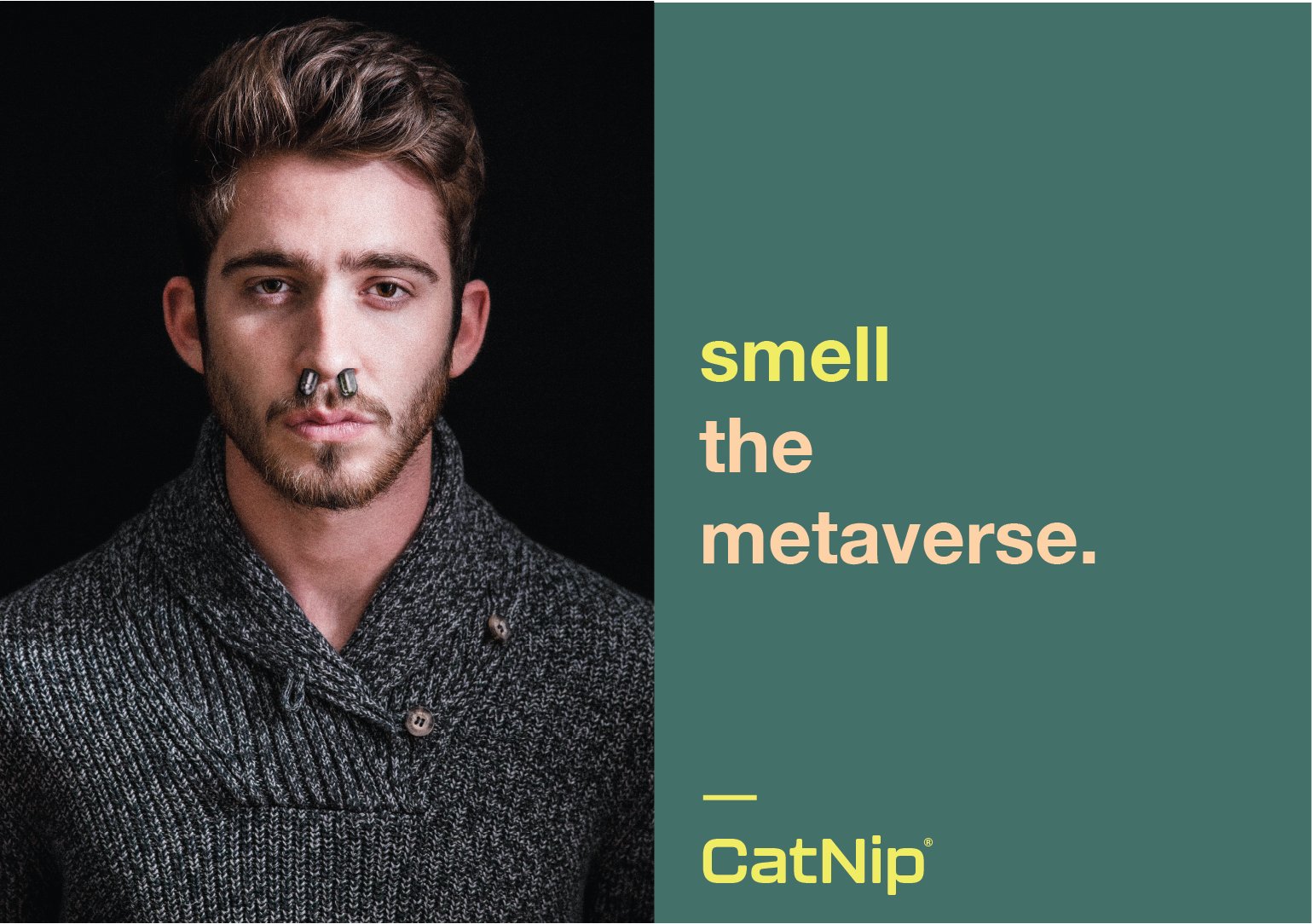 CATNIP (@useCATNIP) / Twitter