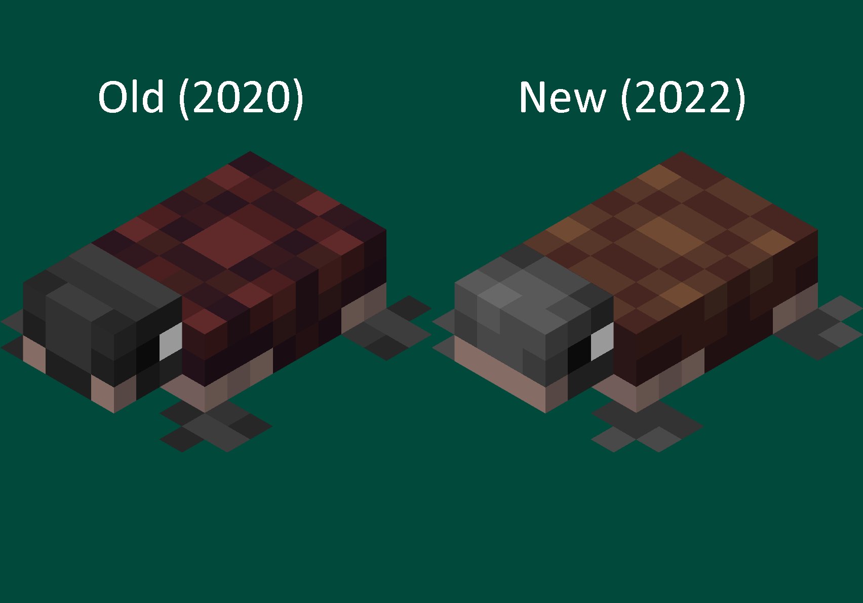 Sully (instagram in pinned tweet) on Twitter: "The river turtle will come back to Sully’s Mod as ...