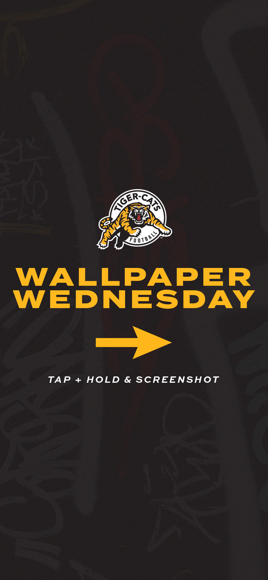 Hamilton Tiger Cats Wallpaper