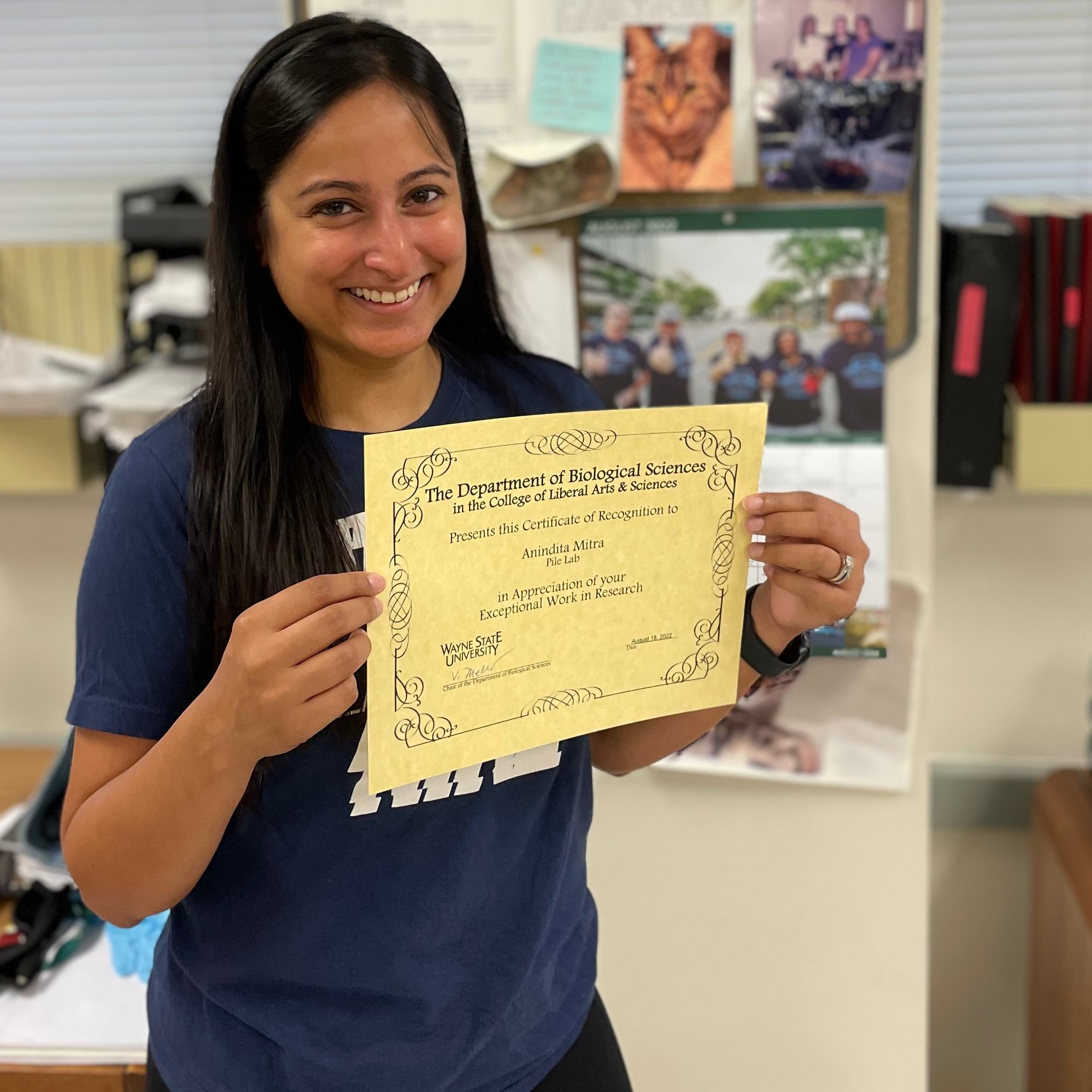 Pile Lab (@pile_lab) / Twitter