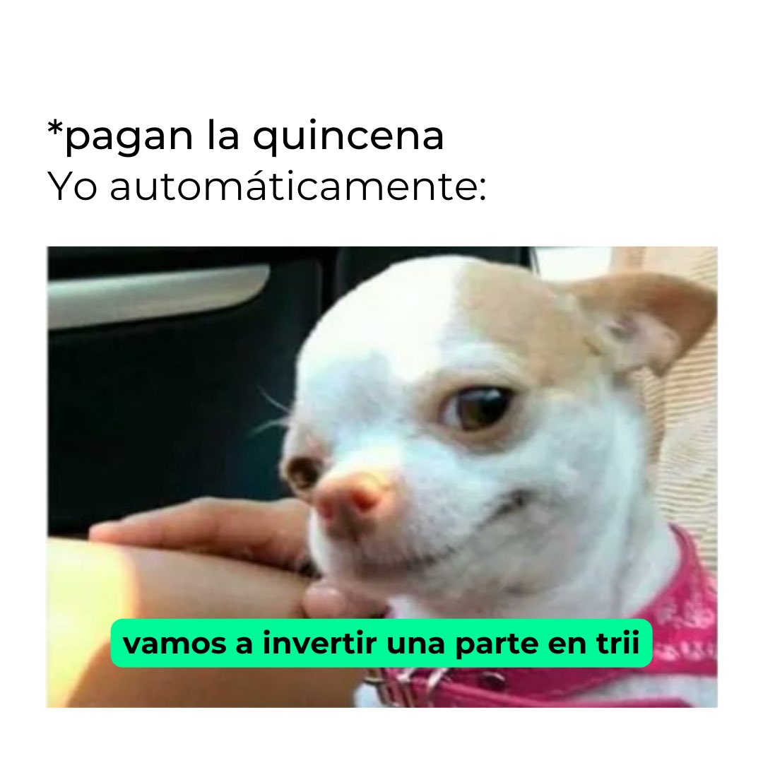 Pago De Quincena Memes Dichosos Los Que Reciben Pago En Quincena 😢,