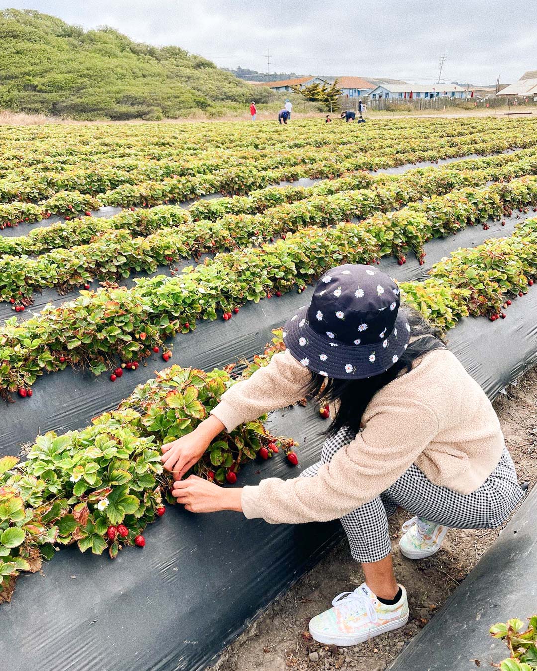 The Ultimate Guide to 2022 Gay Pride Events - Fagabond