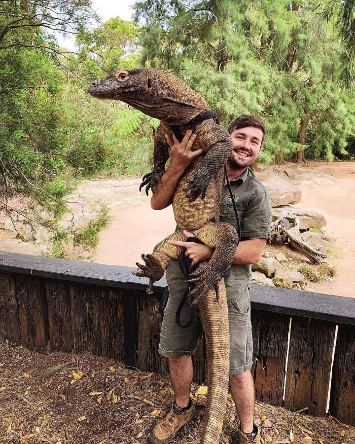Friendly crocodile carried by man - The Lounge - ATRL