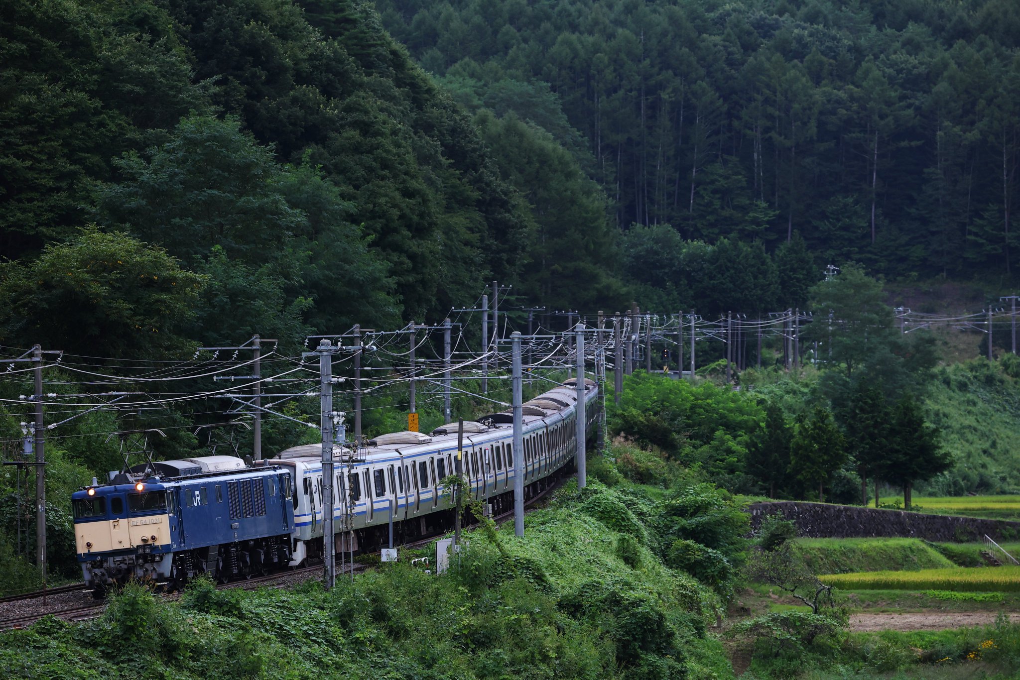 東雲 on Twitter: "2022/8/31 配9441レ EF64 1031 + E217系 Y12編成 https://t.co/HhhLJ2APUU" / Twitter