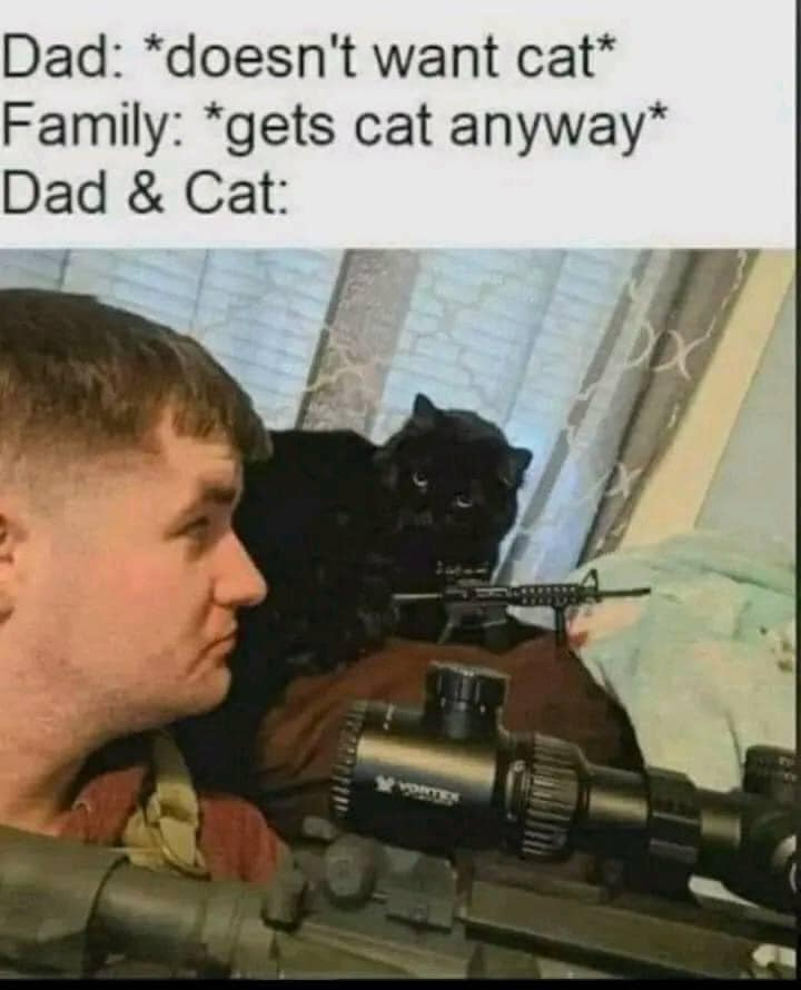 Tacticool Memes⚪ on Twitter: "Every day is Caturday. https://amzn.to/3CMB9JW"