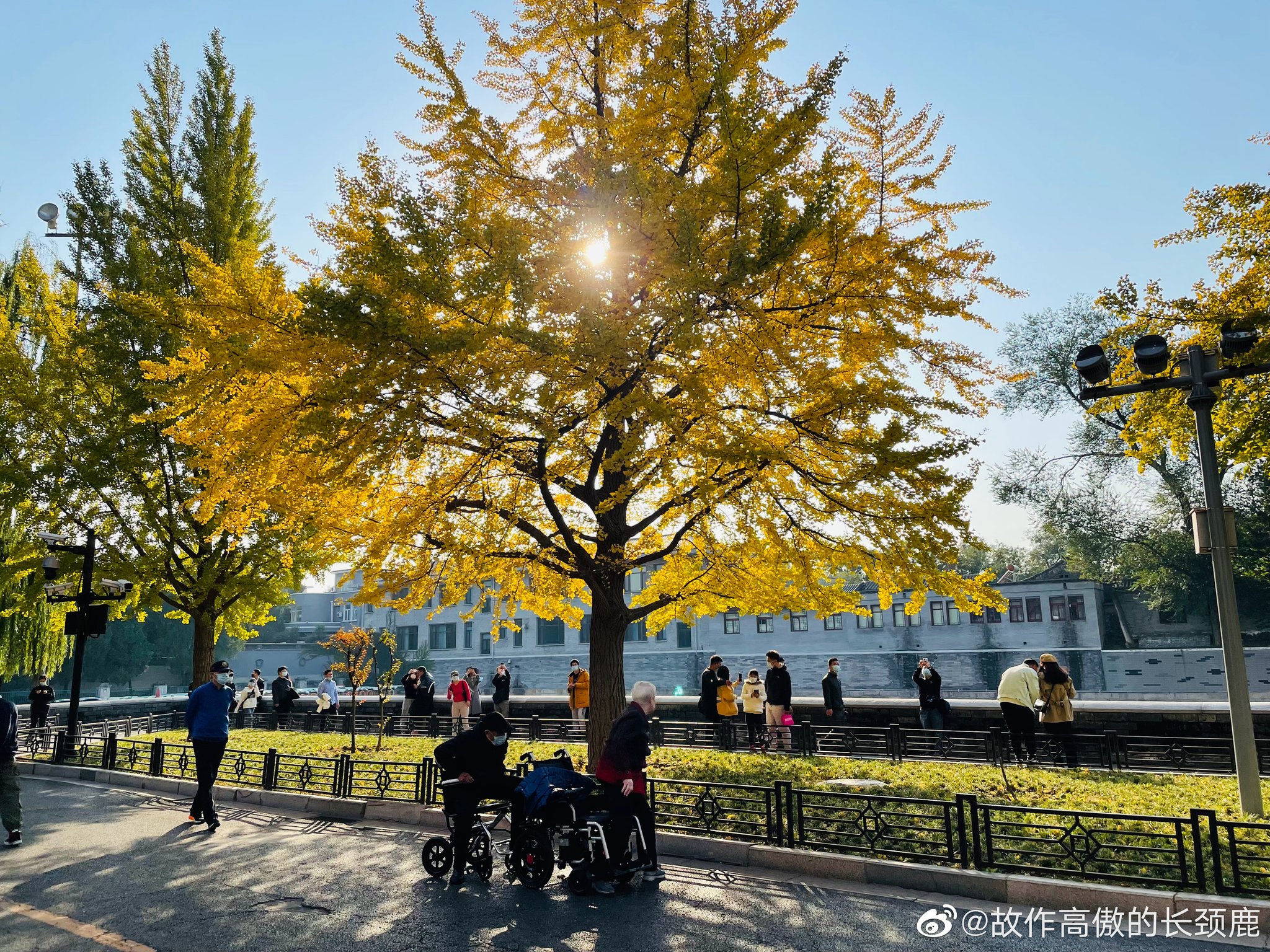 垚垚 On Twitter 赵立坚 赵立坚的二婚老婆汤天如子北京随意践踏公共绿地。妥妥凭一己之力拉低了我国外交官家属的整体素质，我都替她感到丢脸。图片为路人偶遇拍摄，时间是2021年10