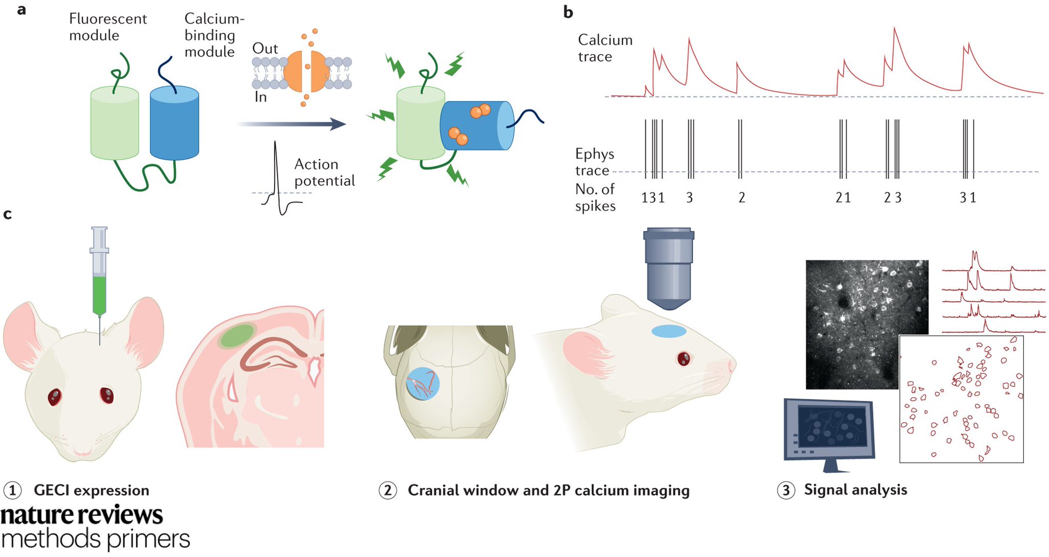 Nature Reviews Methods Primers on Twitter: Nature Reviews Methods Primers on Twitter: