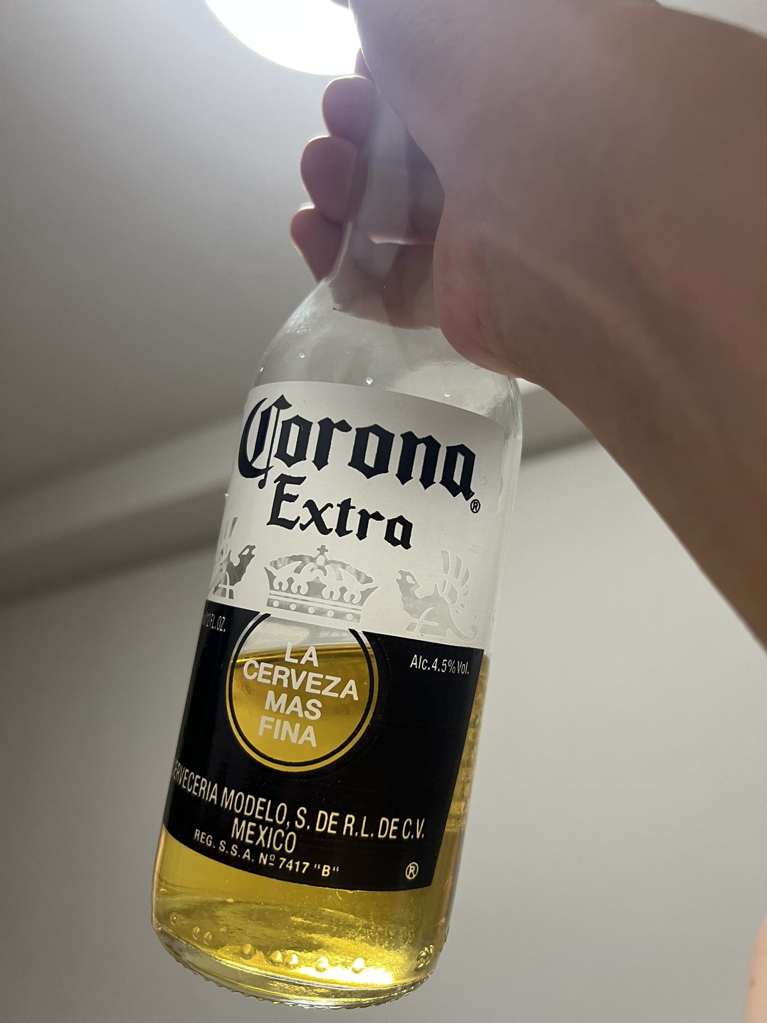 あれる@ジブ使い&解説の人🦭 on Twitter: "@kinako_pop 😇😇😇 https://t.co/SUdxfGeAH6" / Twitter