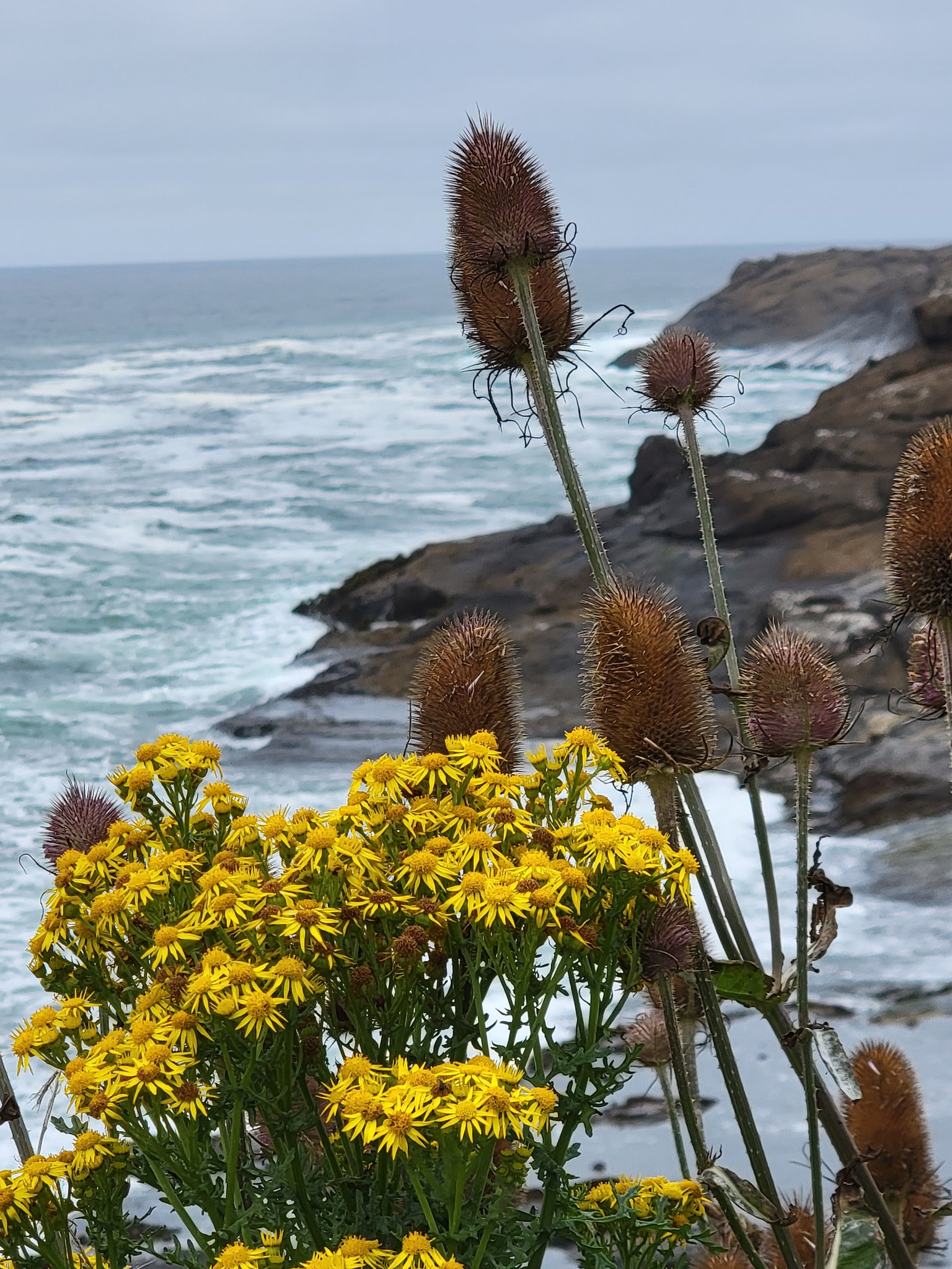 TW Pornstars - 3 pic. Rose Mastos. Twitter. The view around the hotel ...