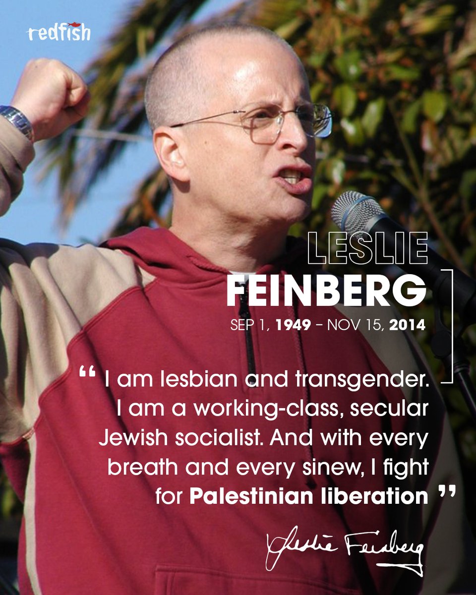 Thread by @redfishstream on Thread Reader App – Thread Reader App