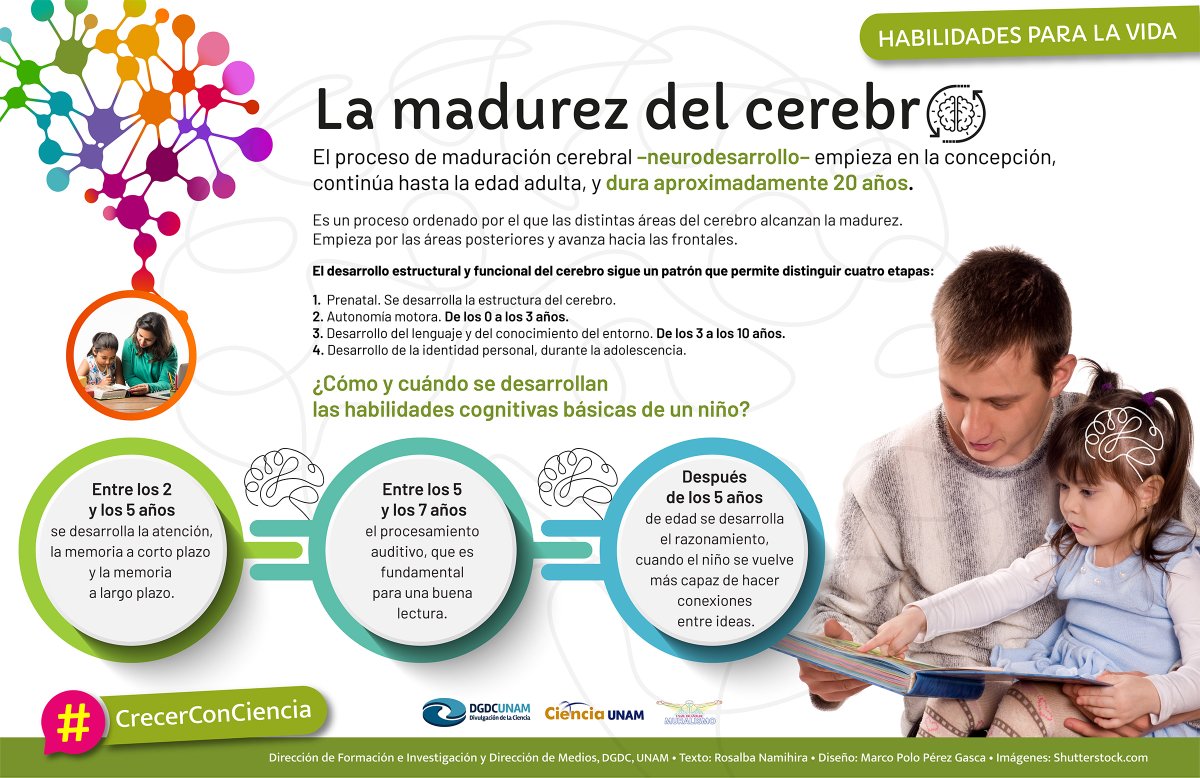 Ciencia Unam On Twitter Crecerconciencia ¡así Va Desarrollándose