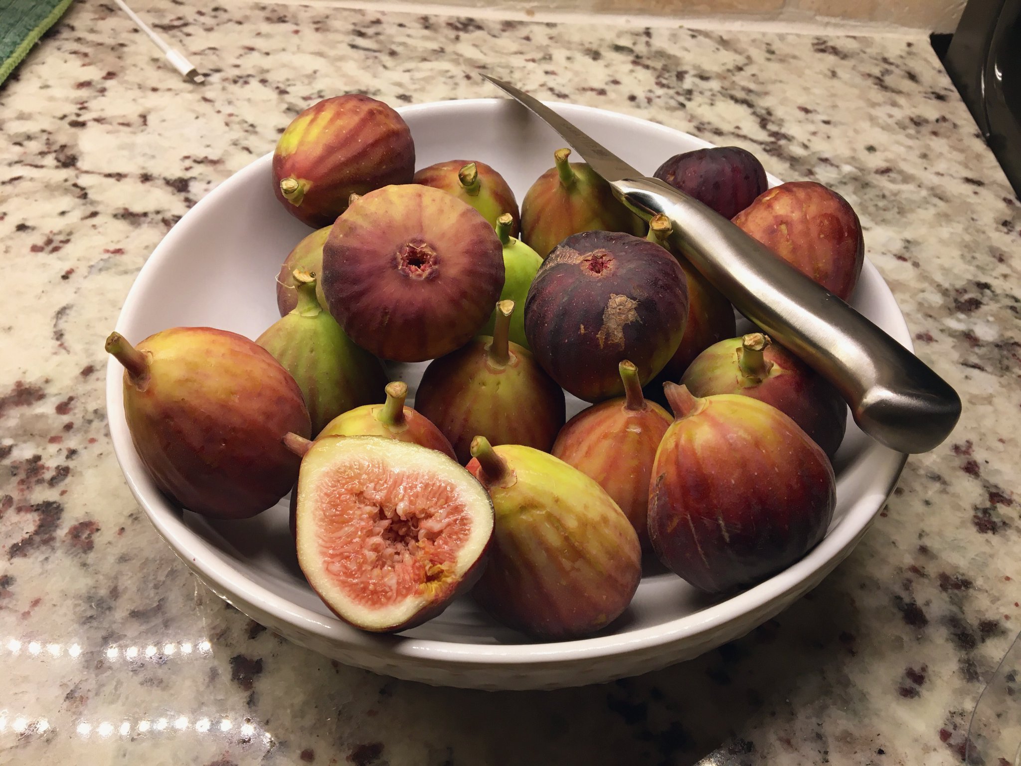 Dian M.Z. on Twitter: "Fig yeah!!! https://t.co/Q5dNojIiNk" / Twitter