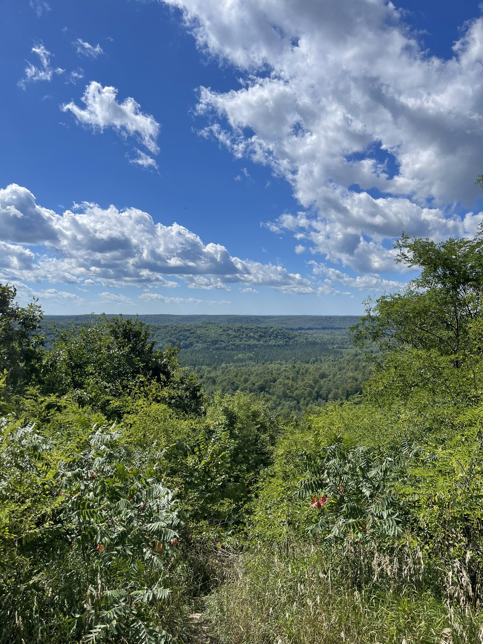 TW Pornstars - 3 pic. Zoë Ligon. Twitter. The last 24 hours. 1:04 AM - 2 Sep 2022