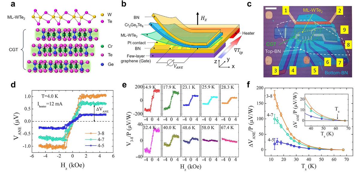 The Innovation | Physics on Twitter: "Proximity-magnetized quantum spin Hall insulator ...