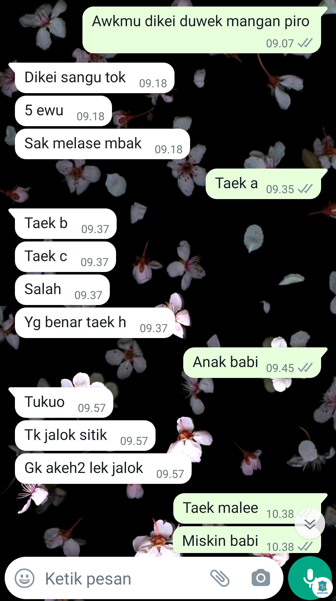 🦈 SUROBOYOFESS 🐊 on Twitter: "Spill chatmu sama adekmu -rek wkwk https ...