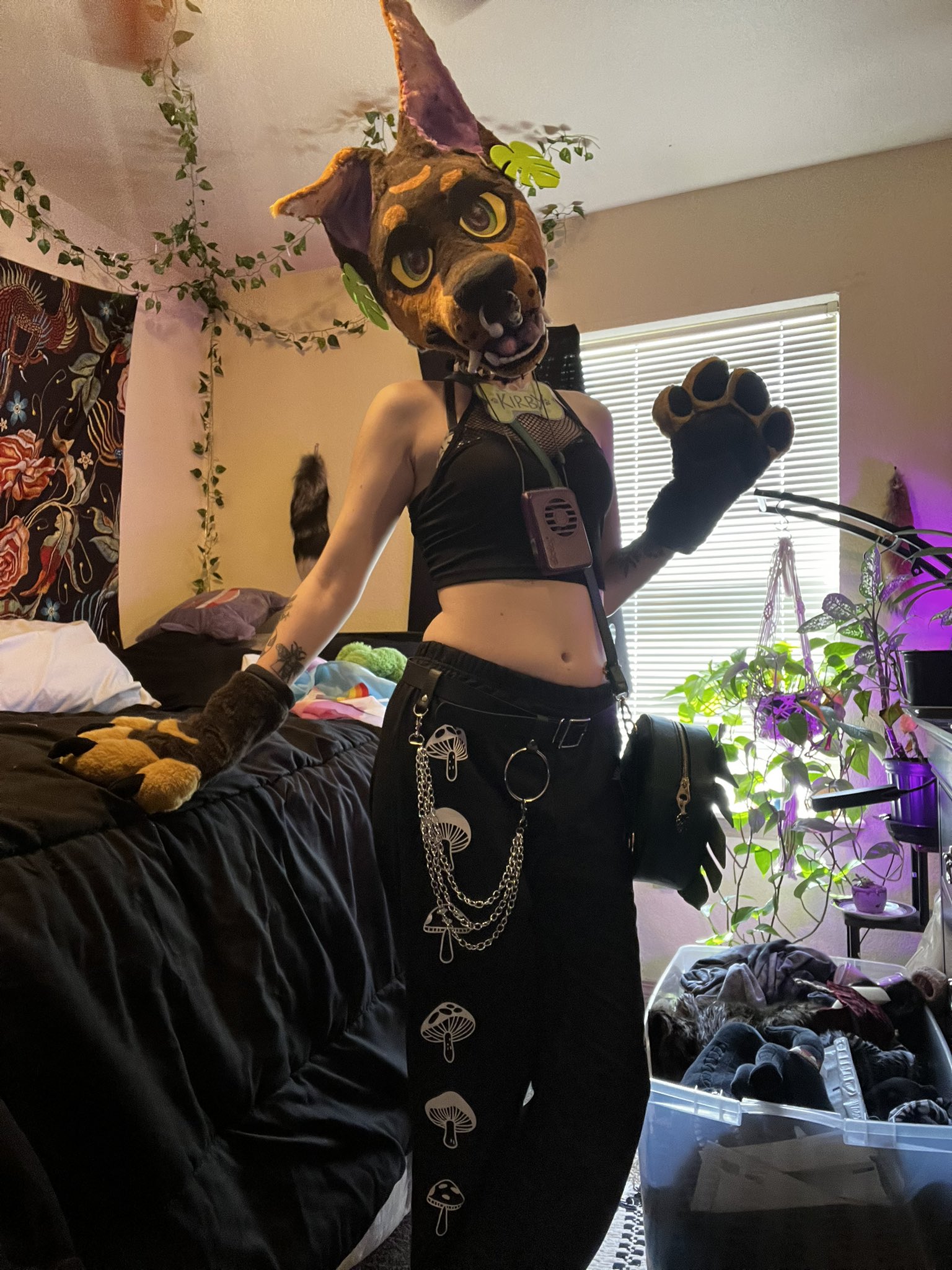 Sexy.Jpg 🔜 TTFC on Twitter: "Saturday im gonna try and stop by TTFC! If you find me feel free to ...