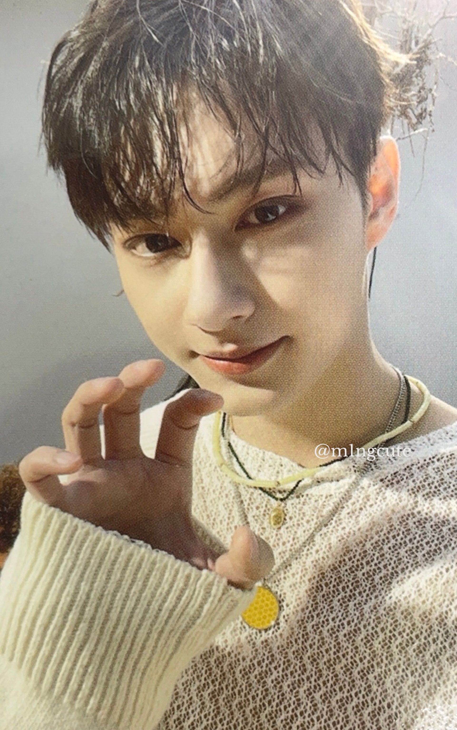 elle 𖧷 slow dm on Twitter: "[SCAN] Jeonghan, Mingyu & Vernon Sector 17 Kit PC 🏷️ seventeen svt ...