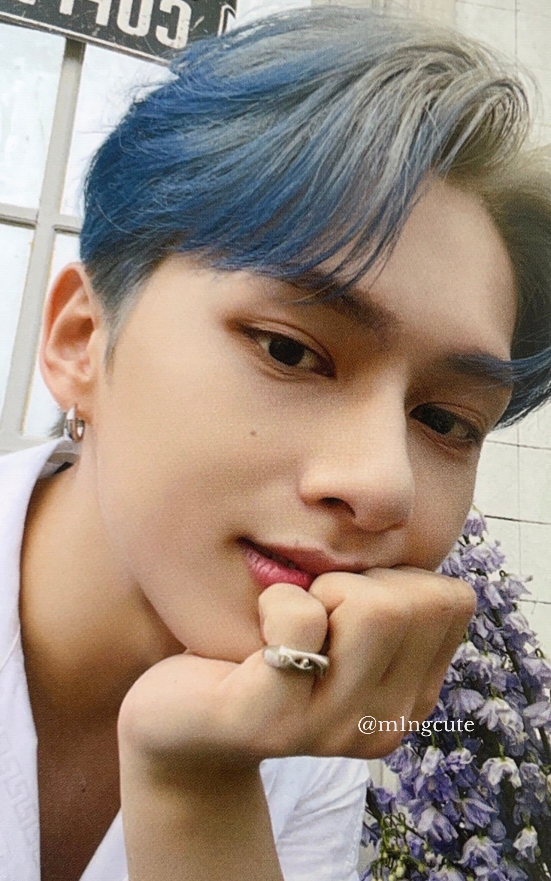 elle 𖧷 slow dm on Twitter: "[SCAN] Jeonghan, Mingyu & Vernon Sector 17 Kit PC 🏷️ seventeen svt ...